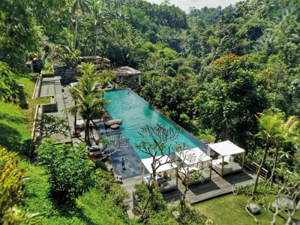 The Flavours of Jungle Fish - NOW! Bali