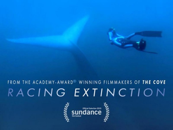 Racing Extinction Movie Screening at Potato Head Beach Club - NOW! Bali