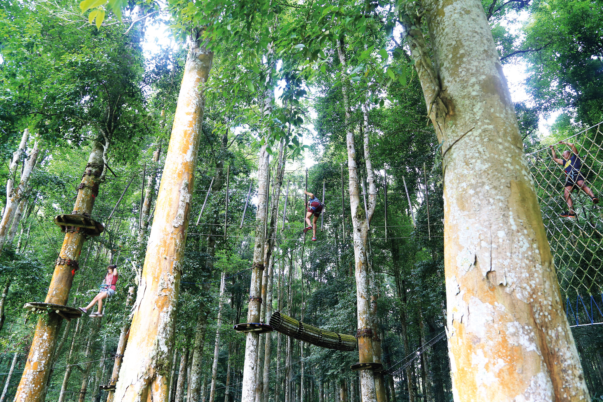 9 Amazing Ways To Explore Bali's Great Outdoors - NOW! Bali