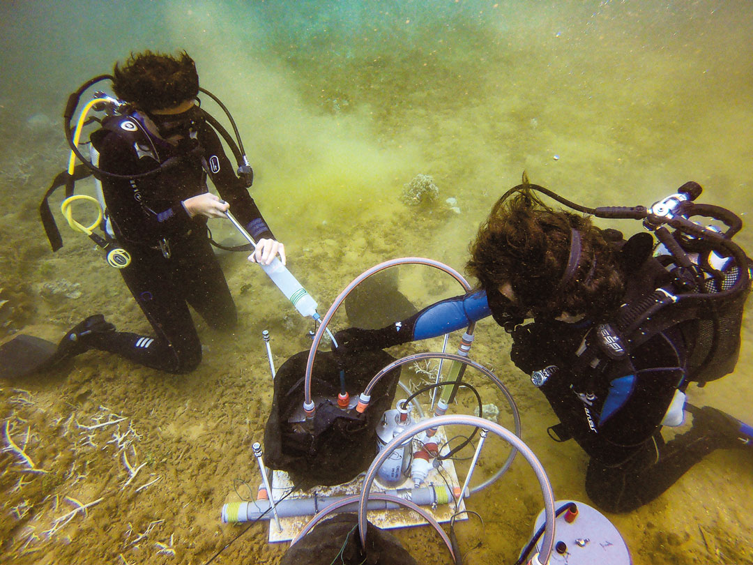 The Race For Water : A Global Odyssey Campaigning To Save Our Oceans ...