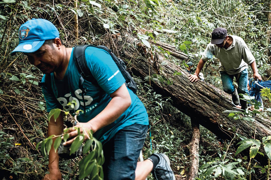 Holy Offerings: The Real Life Practice of 'Yadnya' - NOW! Bali
