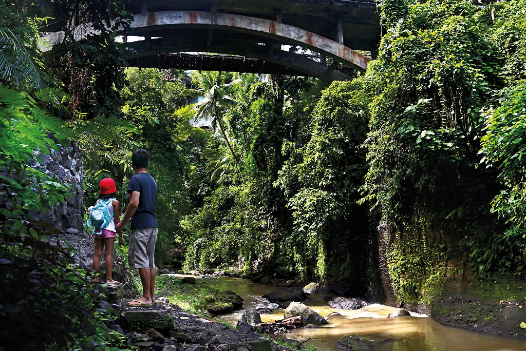 Walks in Nature with the Kids - NOW! Bali