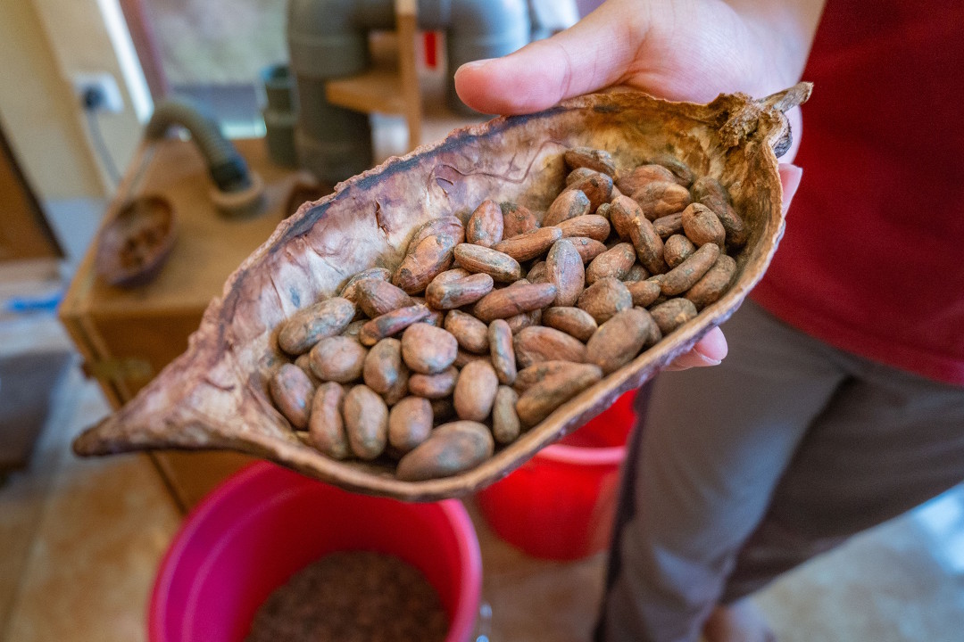 Make Your Own Chocolate at Sorga Chocolates Bali - NOW! Bali