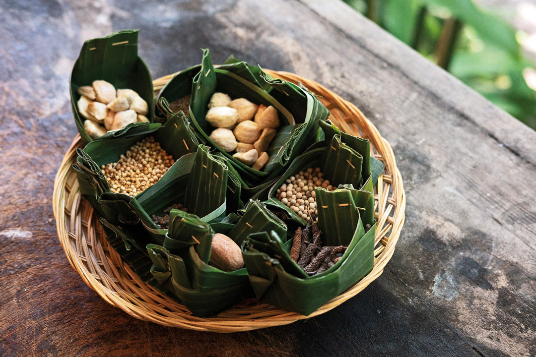Cooking Class in Ubud : Food as Medicine at Casa Luna - NOW! Bali