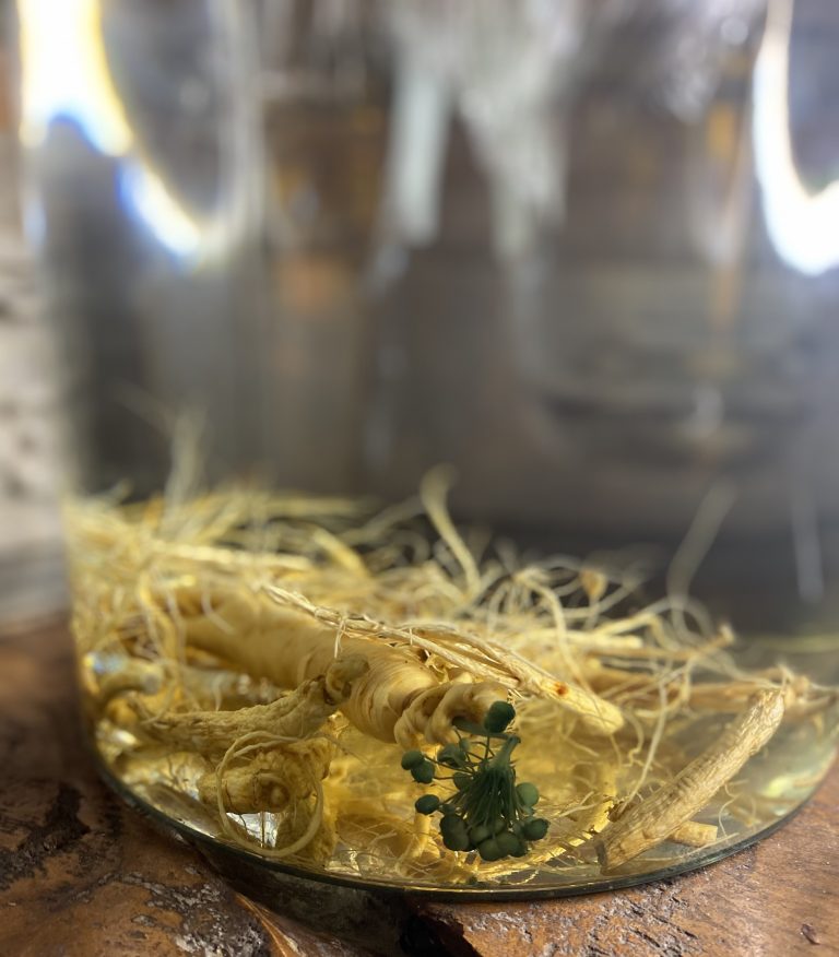 Arak Jung : An Ancient Balinese Tradition of Herbal Healing - NOW! Bali