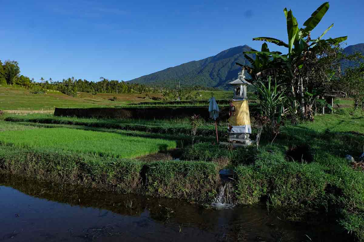 Explaining Bali's Subak System (and Why Rice Fields are Cultural ...