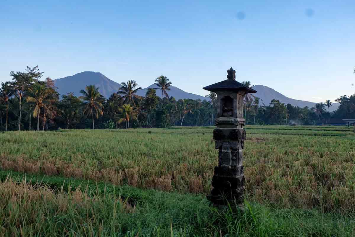 Explaining Bali's Subak System (and Why Rice Fields are Cultural ...