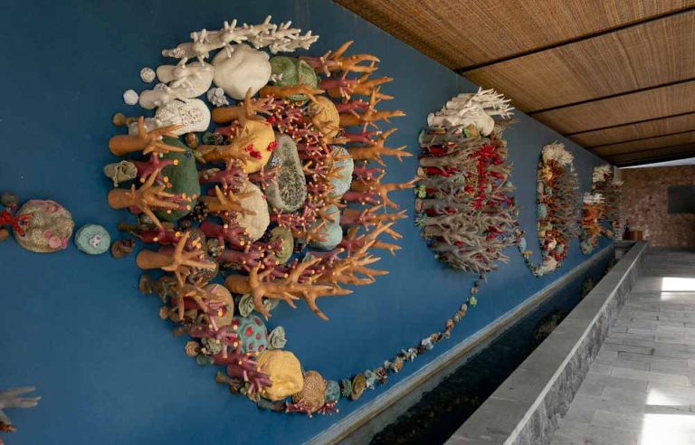 Coral Triangle Center: An Ocean of Learning in Bali’s Center for Marine ...