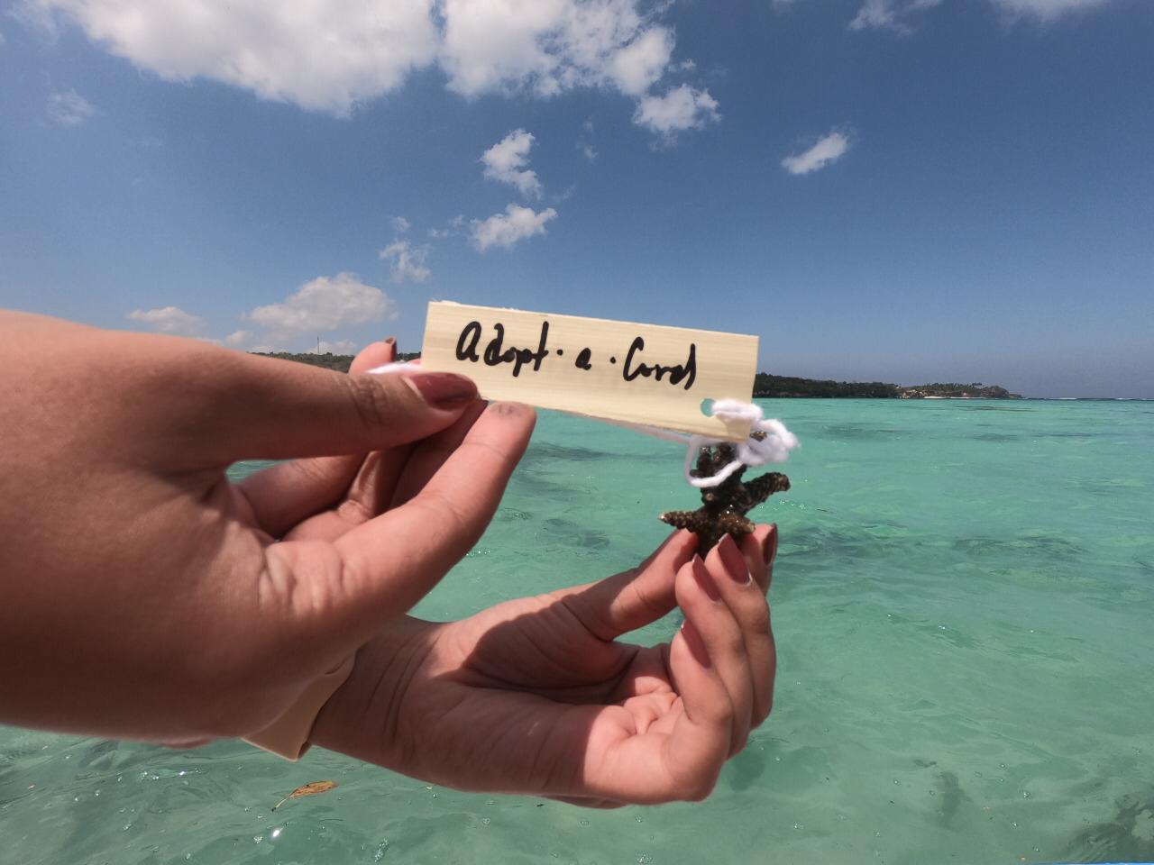 Coral Triangle Center: An Ocean of Learning in Bali’s Center for Marine ...