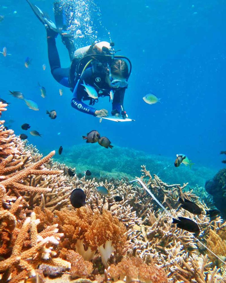 Coral Triangle Center: An Ocean of Learning in Bali’s Center for Marine ...