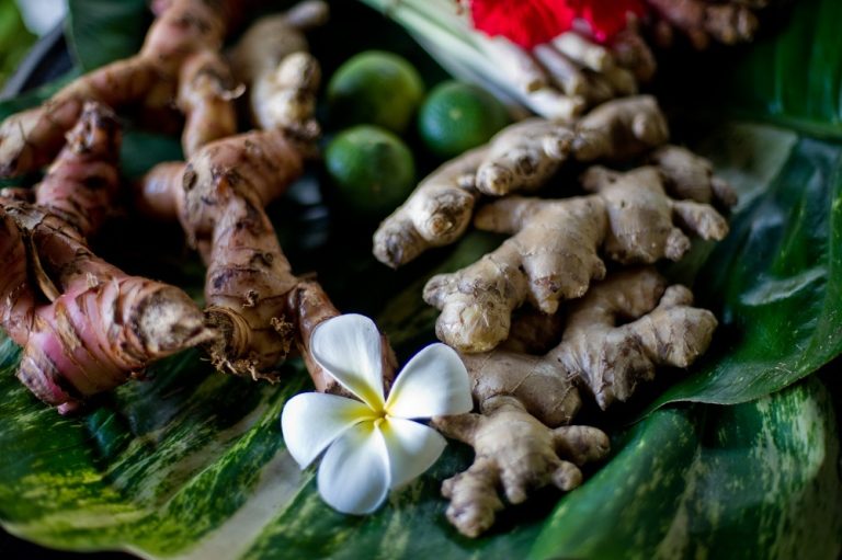 Djamoe Herbal Class: Learn Ancient Healing Methods at Hotel Tugu Bali ...