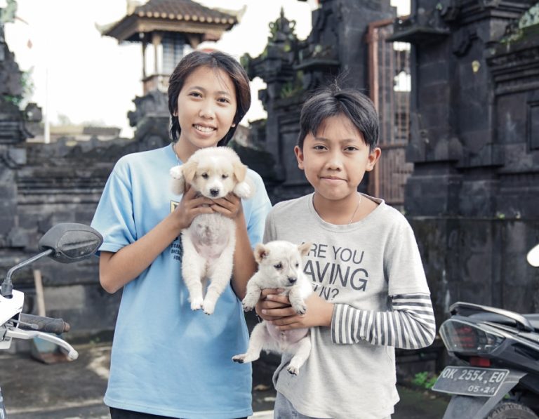Mission Paws’ible: For the Love of Dogs - NOW! Bali