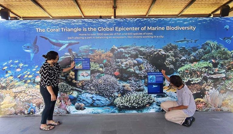 Indonesia’s First Ever Ocean Conservation-Themed Exhibition Hall Opens ...