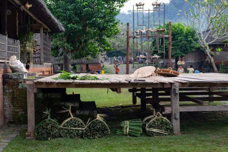 Mekare-Kare: The Pandan Wars of Tenganan Pegringsingan - NOW! Bali