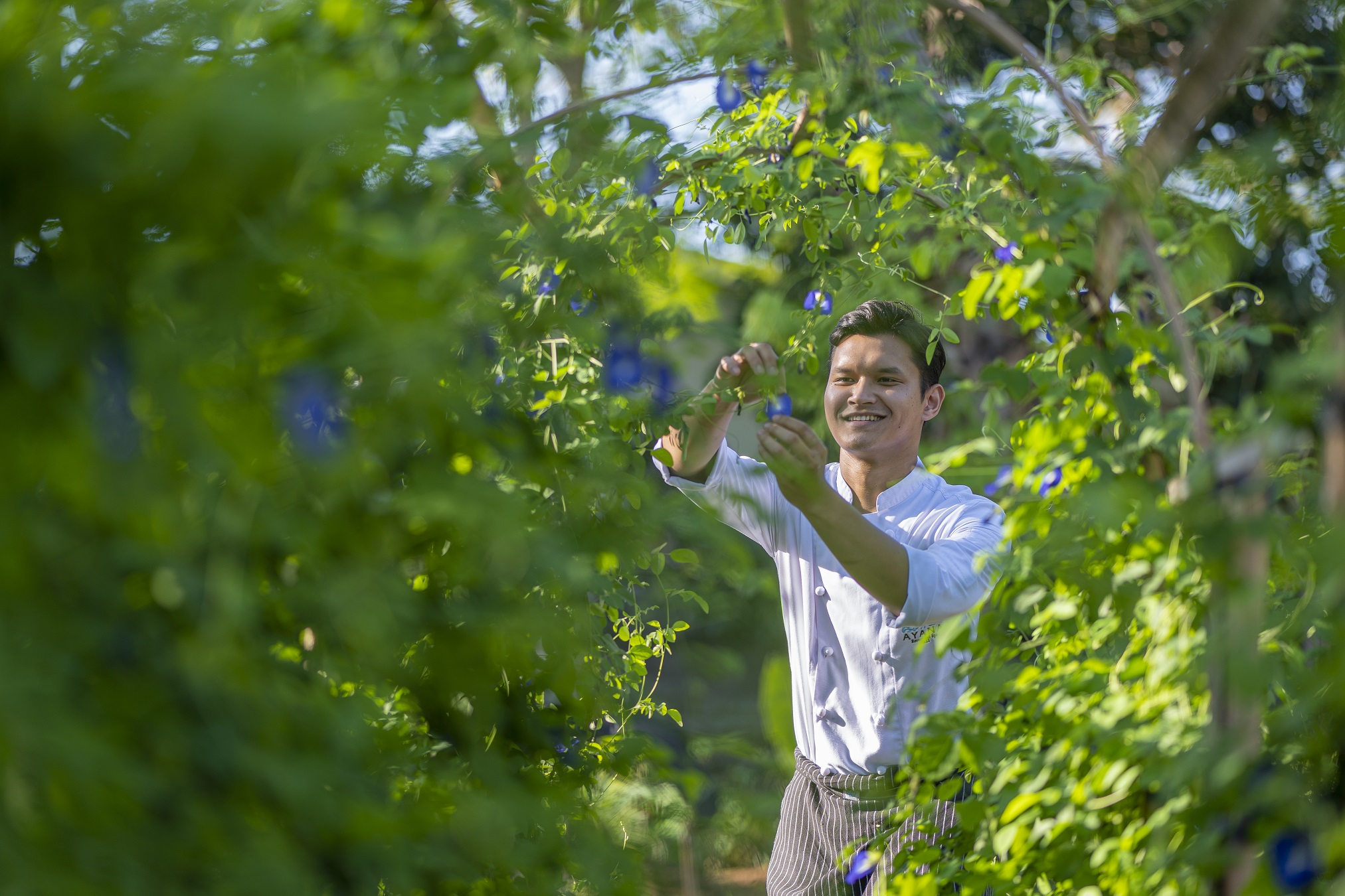 The Revamped AYANA Farm Reopens with New Guest Experiences - NOW! Bali