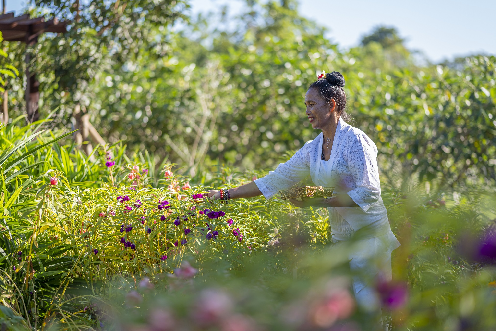 The Revamped AYANA Farm Reopens with New Guest Experiences - NOW! Bali
