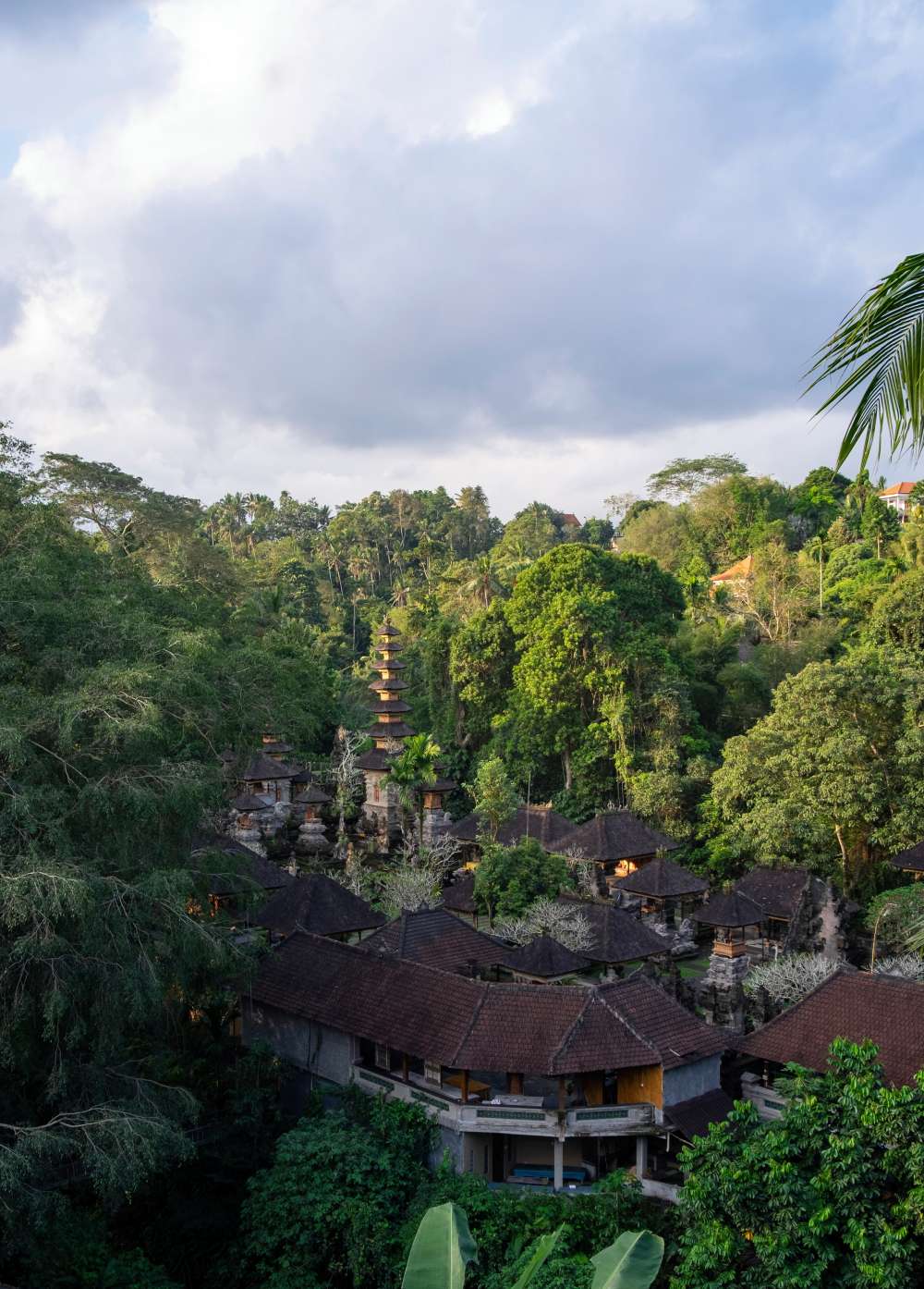 A Brief History of Ubud: Cultural and Spiritual Heart of Bali - NOW! Bali