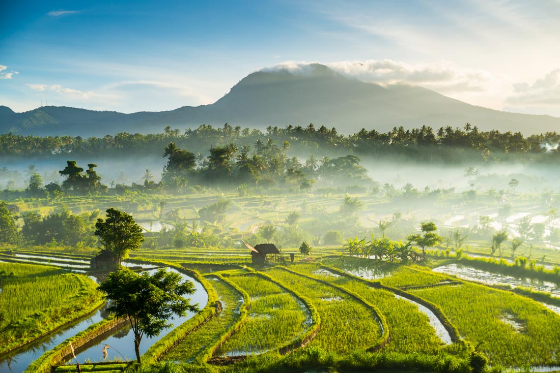 Eco Tourism Bali: Future-Proofing the Island - NOW! Bali