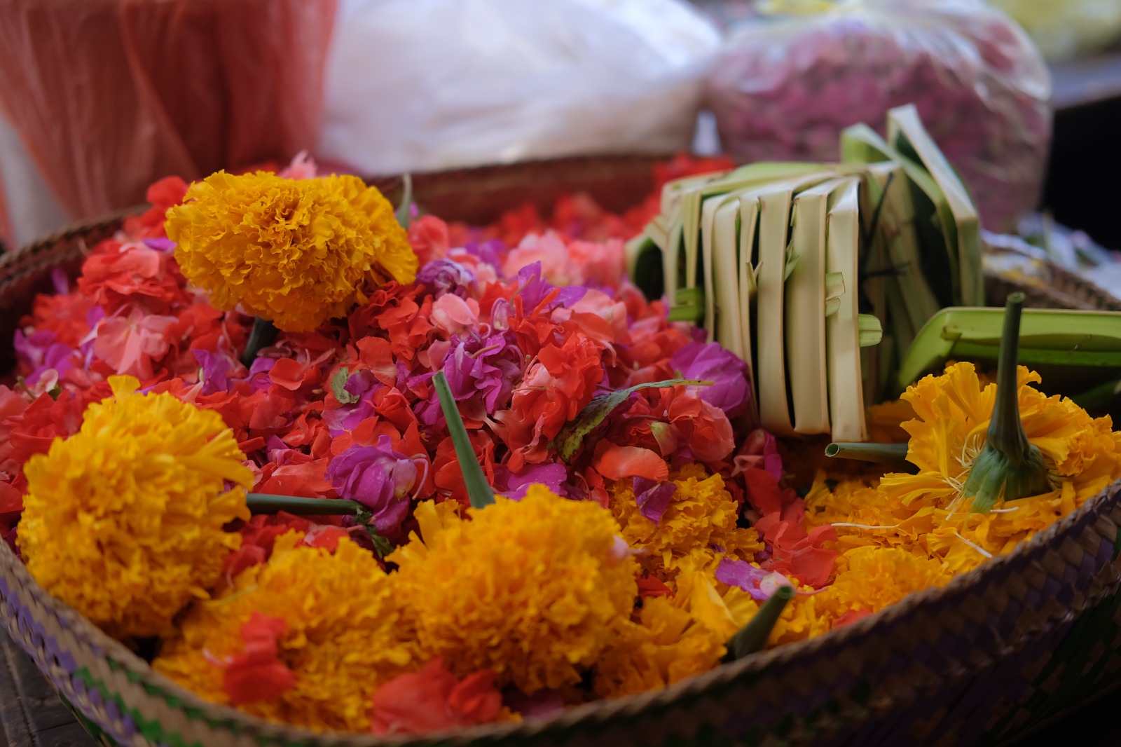 The Flowers of Bali: A World of Symbolism and Colour - NOW! Bali