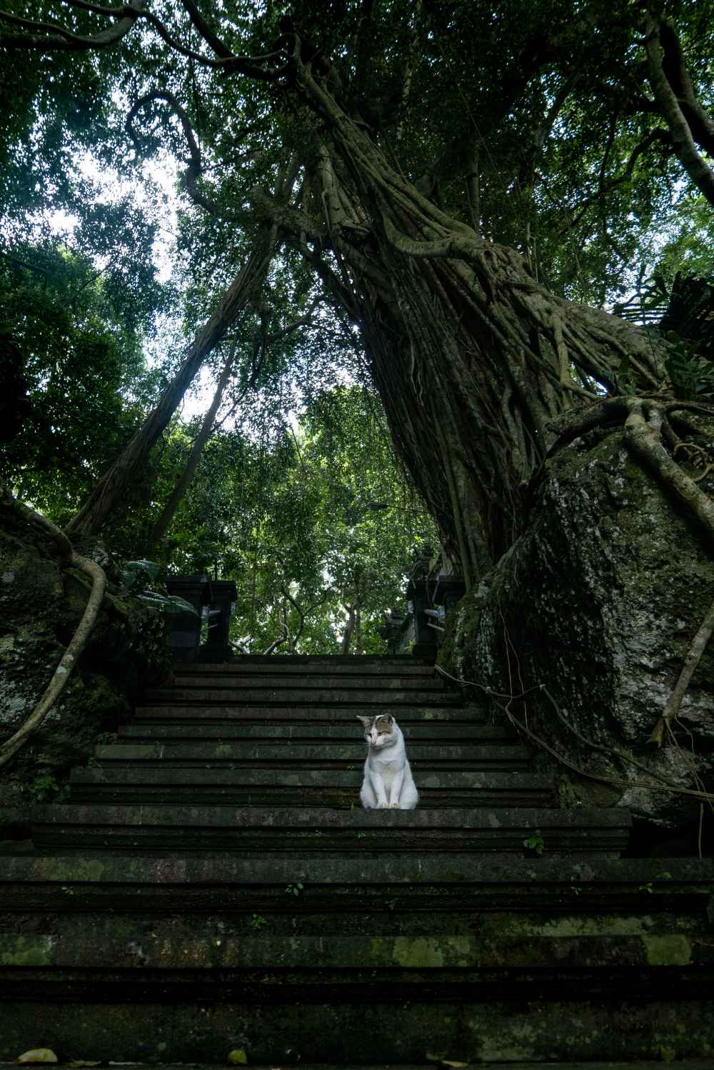 A Special Temple for Durga, The Goddess of Death - NOW! Bali
