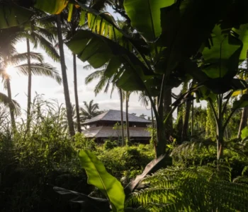 Restaurants and Bars - NOW! Bali