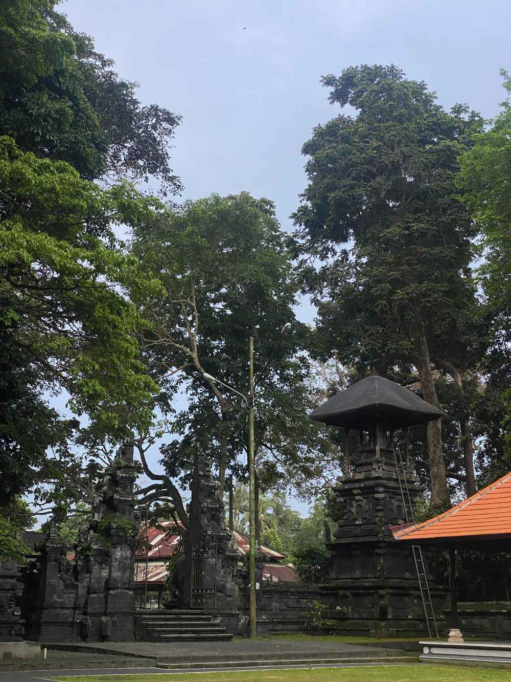 Pura Alas Kedaton: The Temple Without Incense - NOW! Bali