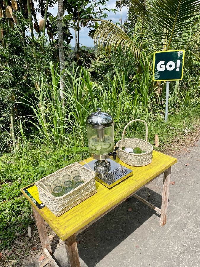 Jungle Cart Bali: A Real-Life Mario Kart Adventure - NOW! Bali