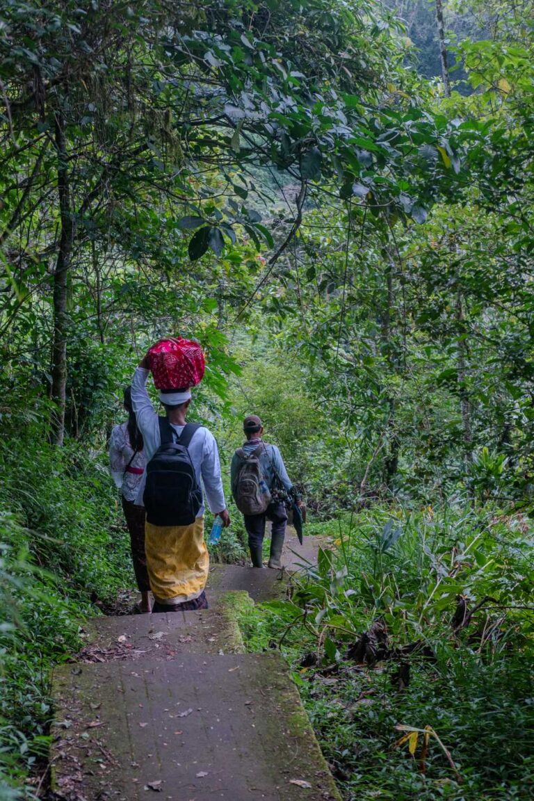 Catur Desa: Guardians of the Forest and Lakes - NOW! Bali