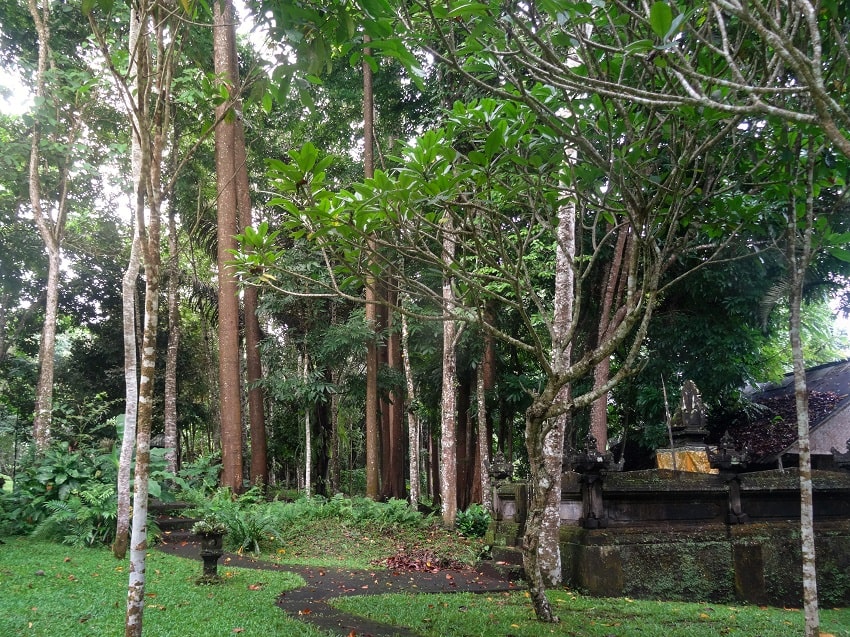 The Sound and Simplicity of Taro Village - NOW! Bali